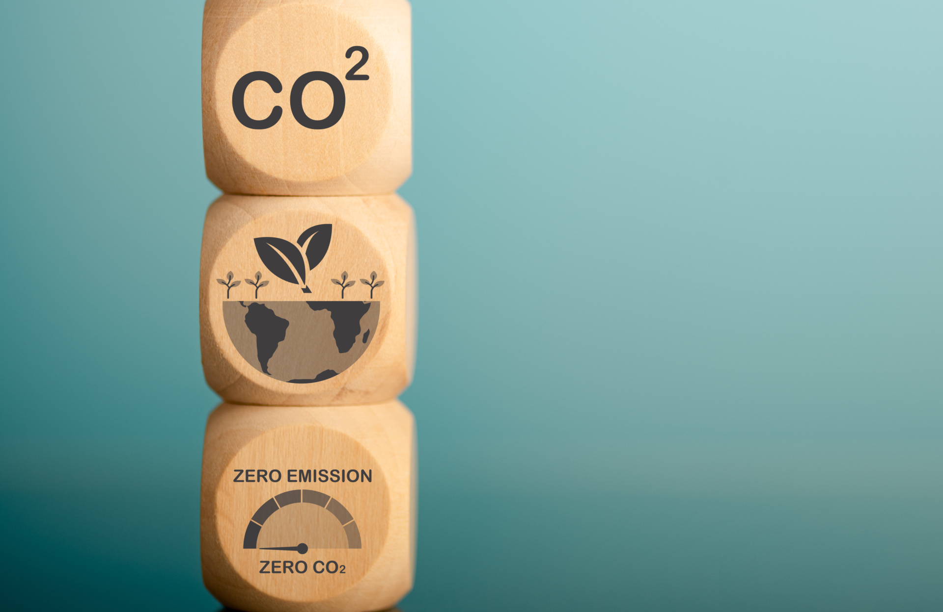 European project for the conversion of CO2 into organic acids ...