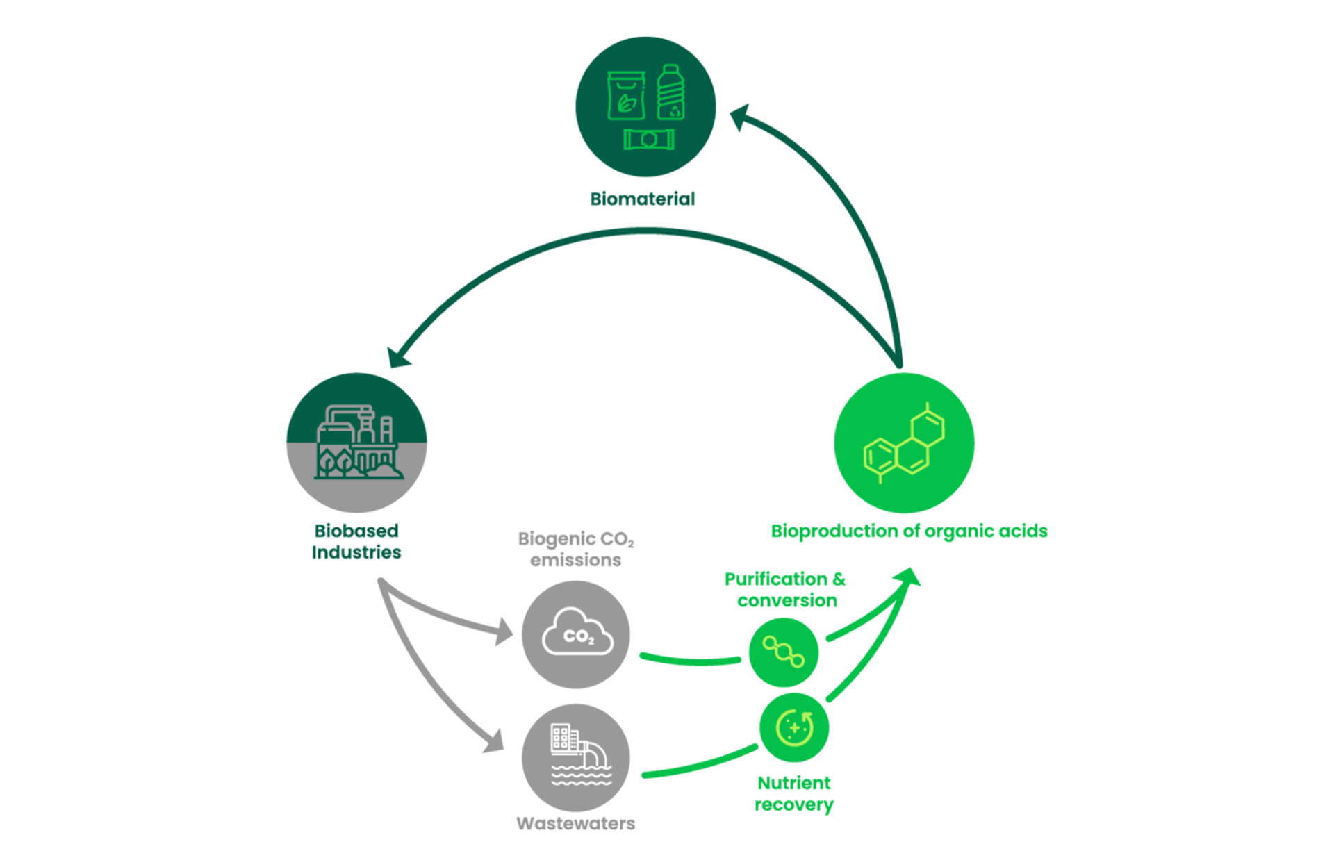 European project for the conversion of CO2 into organic acids ...