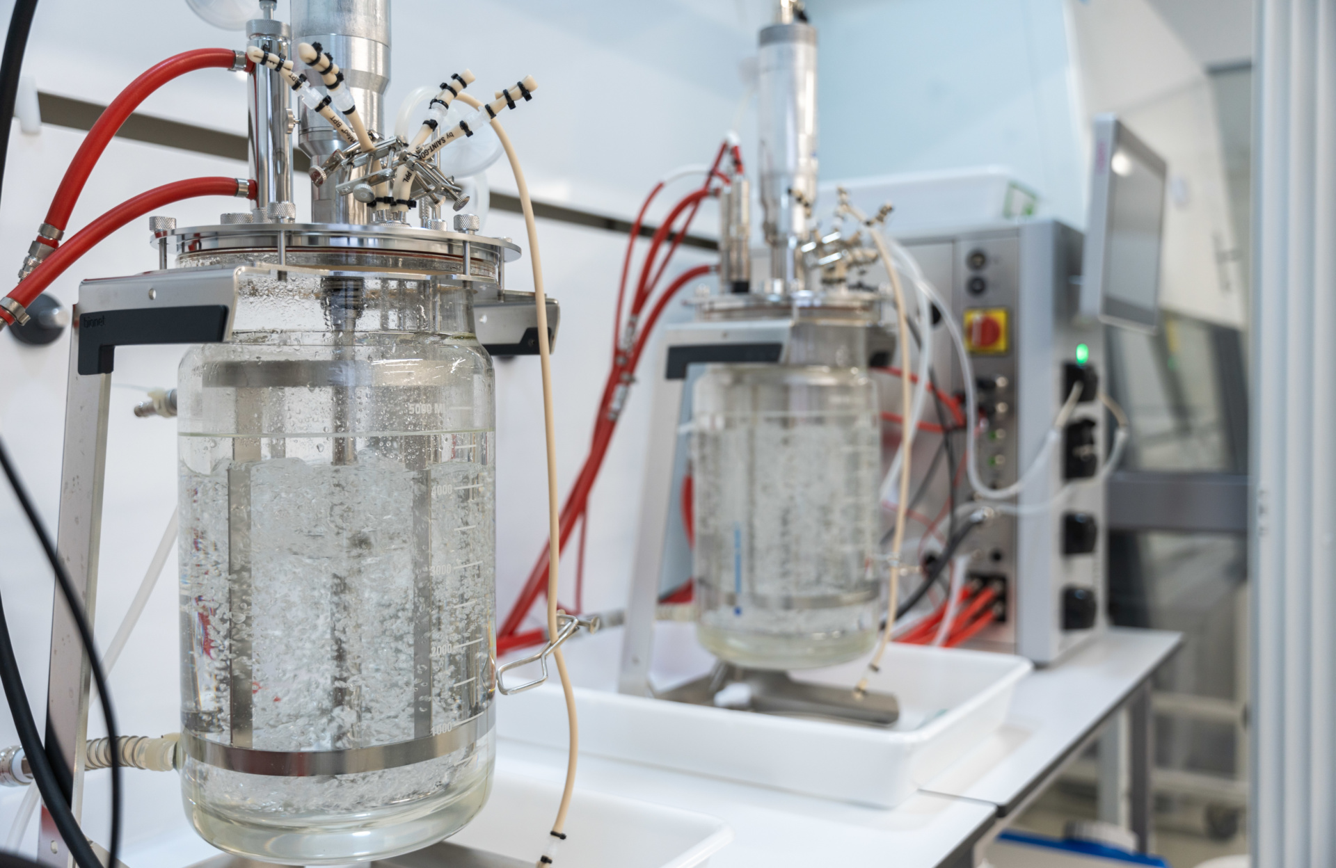 Processium opens its fermentation laboratory, expanding its ...